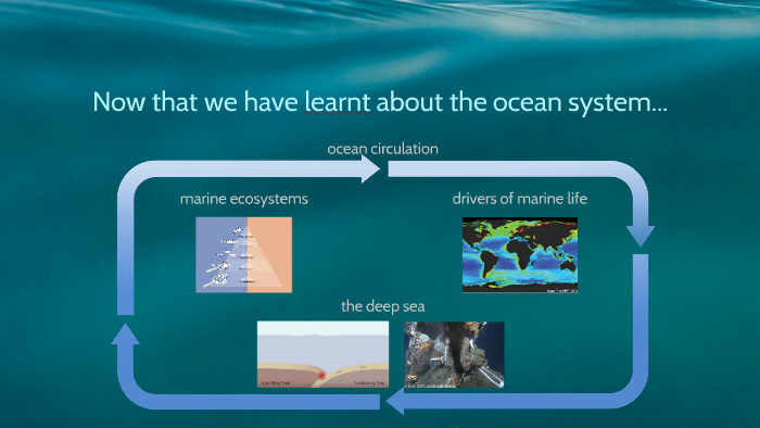 Module 6_OCEANMOOC by Allanah P on Prezi