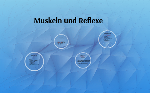 Muskeln und Reflexe by slkdsef lkxdfjsd on Prezi
