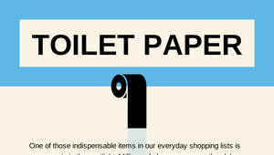 A brief history of toilet paper by Baiba Grugule on Prezi Design