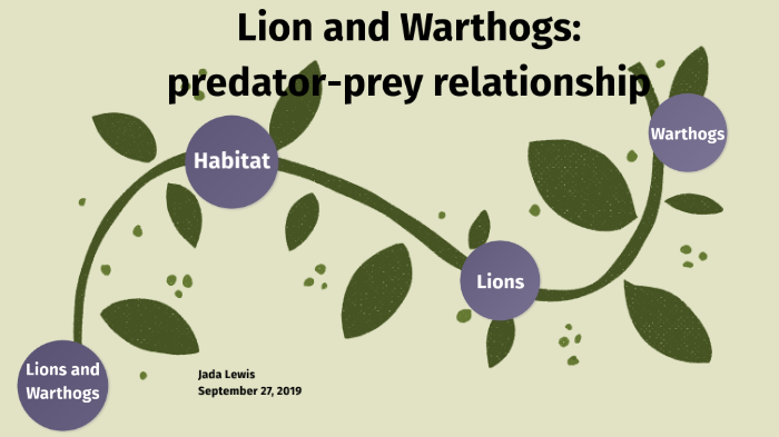 predator-prey: warthog and lion by jada lewis on Prezi