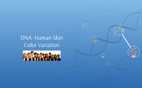 Human Skin Color Variation by Alexa Cherup on Prezi