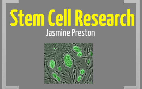 Stem Cell Research by Jasmine Preston on Prezi