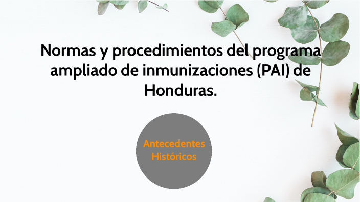 Normas y Procedimientos del Programa Ampliado de Inmunizaciones (PAI ...