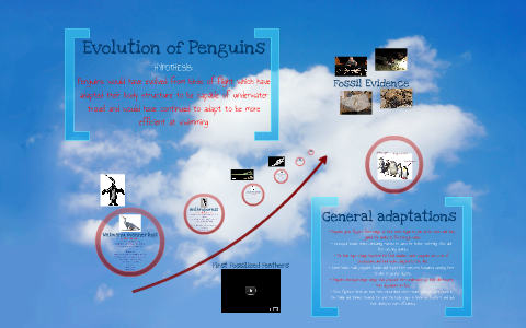 Penguin Evolution by Michelle Waring on Prezi