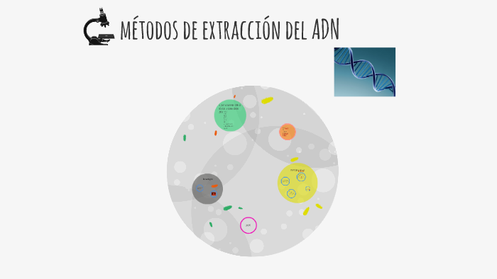 METODOS DE EXTRACCION DEL ADN by laura catano on Prezi