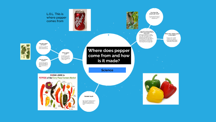 Where does pepper come from by Seyon Narenthiran on Prezi