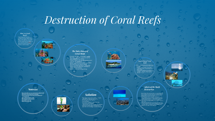 Destruction of Coral Reefs by lester constantino on Prezi