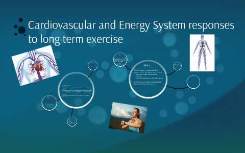 Cardiovascular and Energy System responses to long term exer by on Prezi