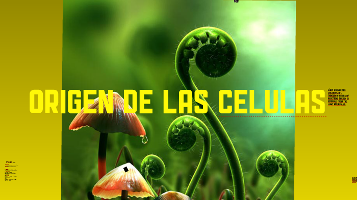 Origen de las celulas by Heather Mather on Prezi