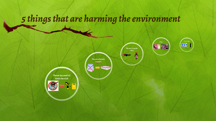 5 things that are harming the enviorment by Míriam Sonnenberg Bartolomé ...