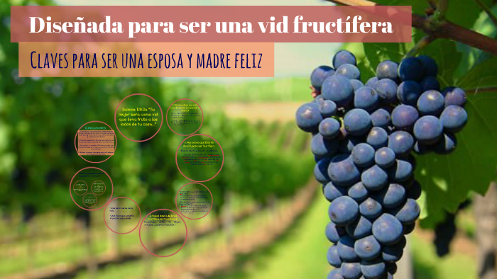 Diseñada para ser una vid fructífera by Pamela Toledo on Prezi