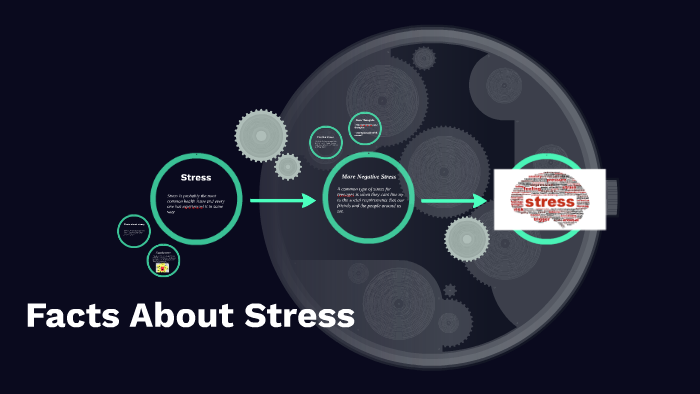 Facts About Stress by Filip Cool on Prezi