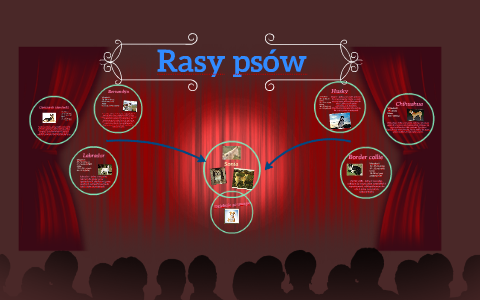 Rasy psów by Anna Przekop on Prezi