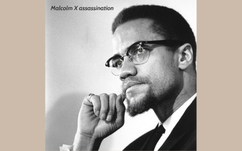 Malcolm X was an African American civil rights activist. by Abby Mohr ...
