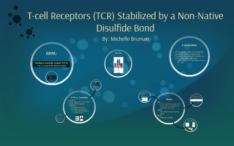 T-cell Receptors (TCR) Stabilized by a non-native Disulfide by on Prezi