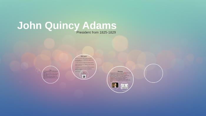 John Quincy Adams by Shana McGlynn