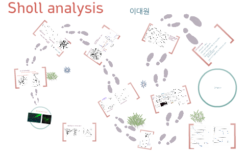 sholl analysis by 대원 이 on Prezi