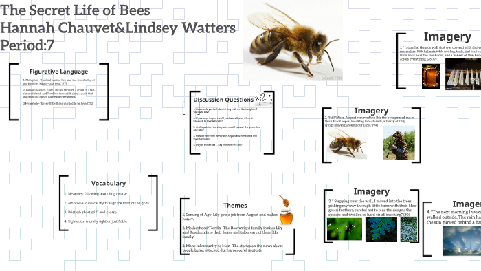 The Secret Life of Bees by Hannah Chauvet on Prezi