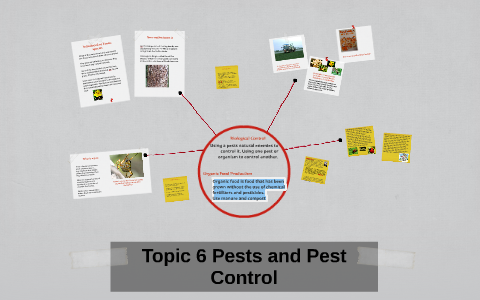 Topic 6 Pests and Pest Control by Brittany Wismer on Prezi