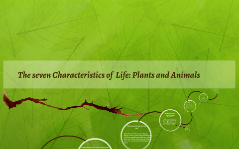 The seven Characteristics of life: plants and animals by Gorrgi-sam ...