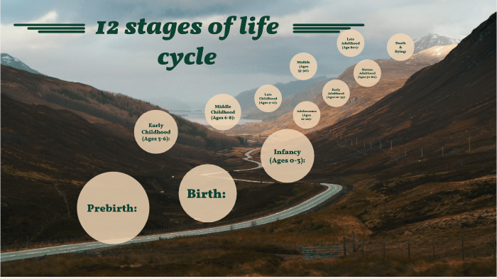 12 stages of life cycle by Miguel chuc on Prezi