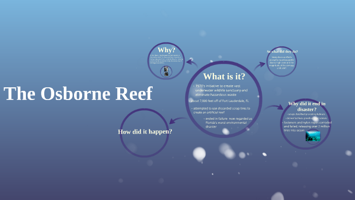 The Osborne Reef by ali ferreira on Prezi