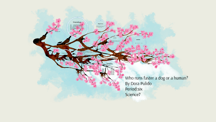 Who runs faster a dog or a human? by Dora Pulido on Prezi