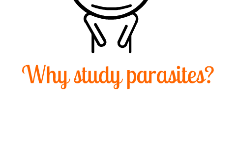 parasite concept map by olivia turley