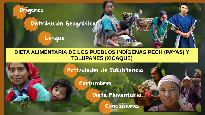 Alimentación etnias Pech y Tolupanes e Inserción de la mujer en el ...