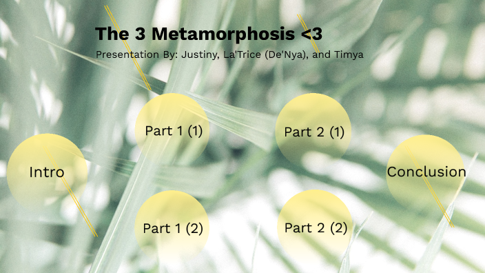 The 3 Metamorphosis Bible Project by Justiny Sanders on Prezi