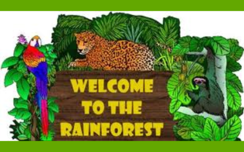 The Amazon Rainforest Classification by Hannie Cooper on Prezi