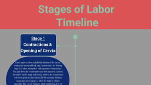 Stages of Labor Timeline by Braxton Arpachinda on Prezi Design