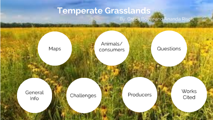 Temperate grassland by Grace Boyer on Prezi