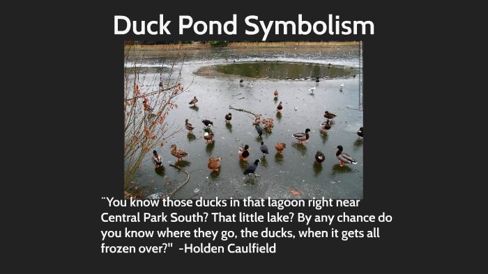 Duck Pond Symbolism by on Prezi