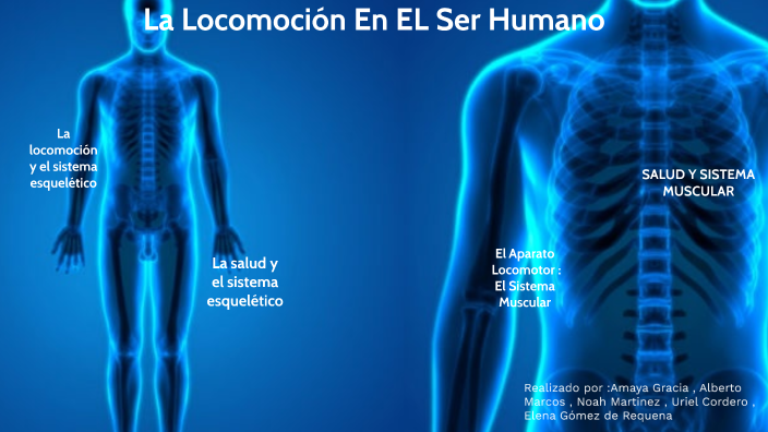 La locomoción en el ser humano by amaya gracia on Prezi