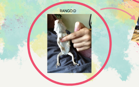 Rango attacking lego village by Ben slgr on Prezi