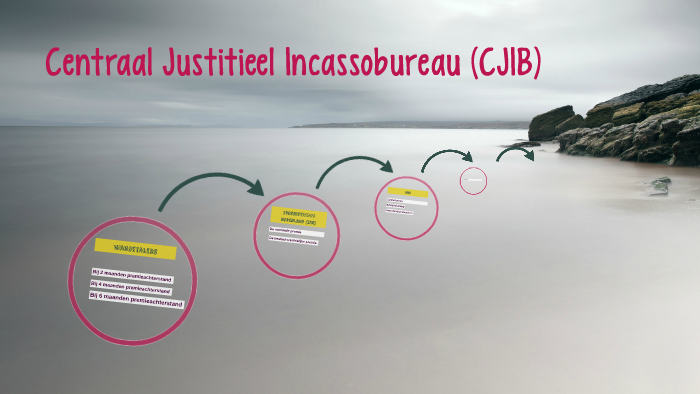 Sergej Van Essen Projectleader Centraal Justitieel Incassobureau