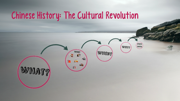 Chinese History: The Cultural Revolution by J M
