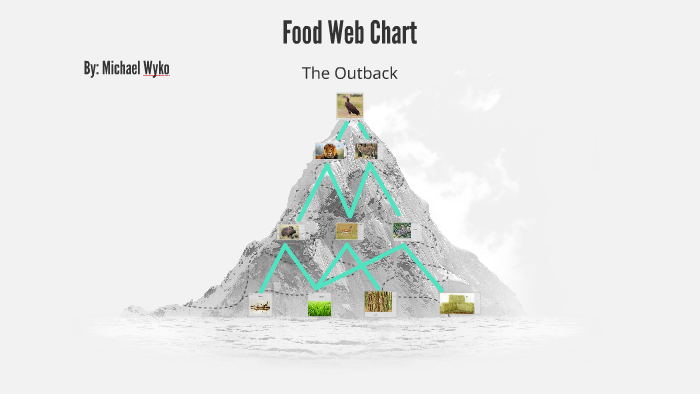 Food Web Chart by Michael Wyko on Prezi