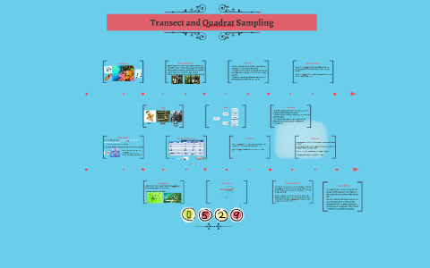 Transect and Quadrat sampling by Louise Anne Beltran on Prezi