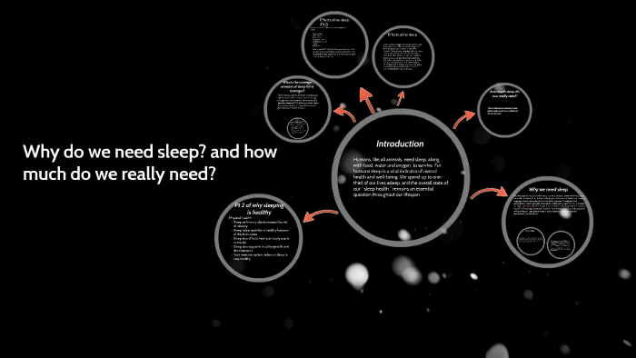 Why do we need sleep? and how much do we really need? by Gillian Nunez ...