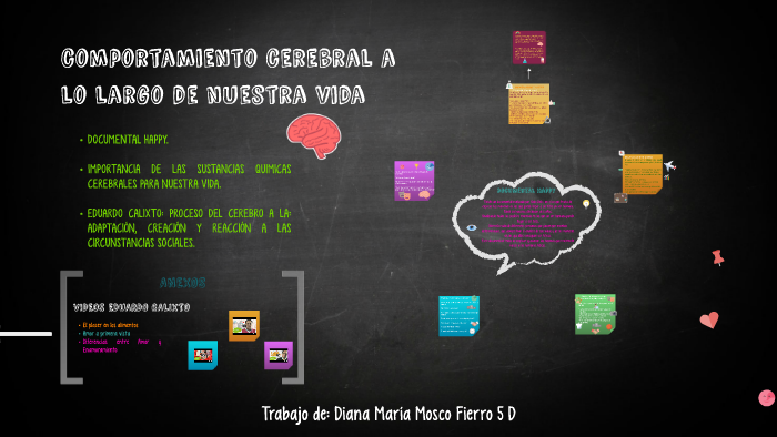 comportamiento cerebral a lo largo de nuestra vida by Diana María Mosco ...