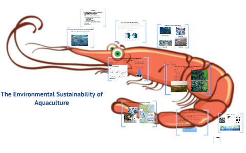 The Environmental Sustainability of Aquaculture by nik schub on Prezi