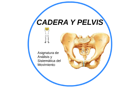 CADERA Y PELVIS by Carlos Manuel Clares Lebrón on Prezi