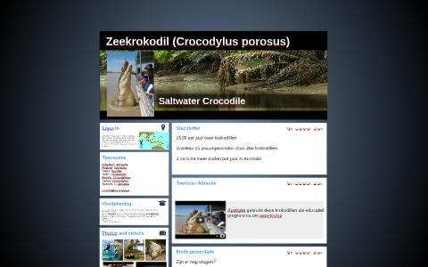 Zeekrokodil (Crocodylus porosus) by Robbert Visser on Prezi