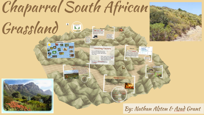 Chaparral South Africa by Nathan Alston on Prezi