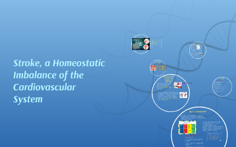 Stroke, a Homeostatic Imbalance of the Cardiovascular System by Tina ...