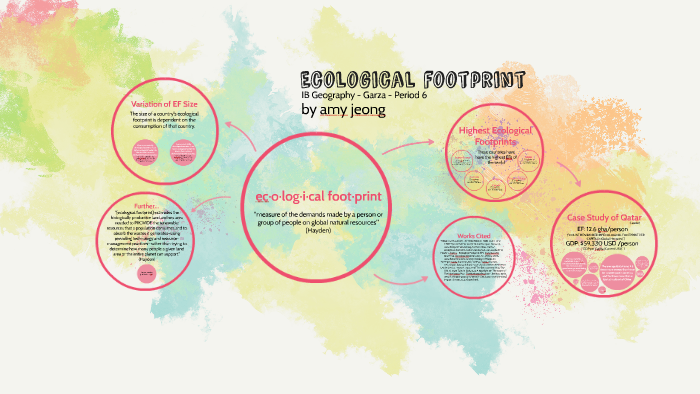 Ecological footprint by Amy Jeong on Prezi