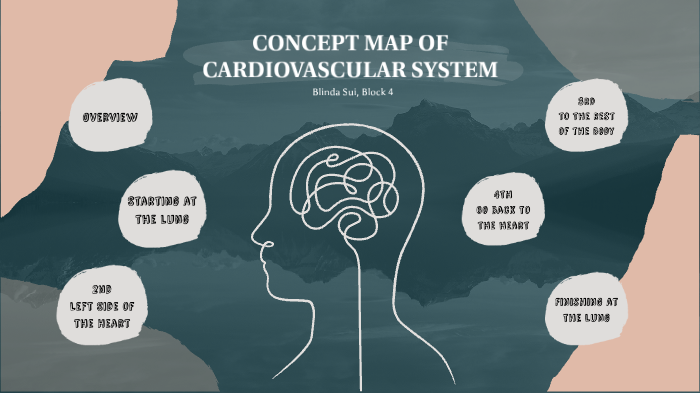 Concept Map of Cardiovascular System by Blinda Sui on Prezi