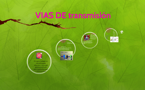 VIAS DE TRANSMISION by nataly johana campos rojas on Prezi
